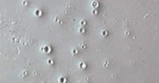 Difetti di verniciatura: eliminare crateri |DC